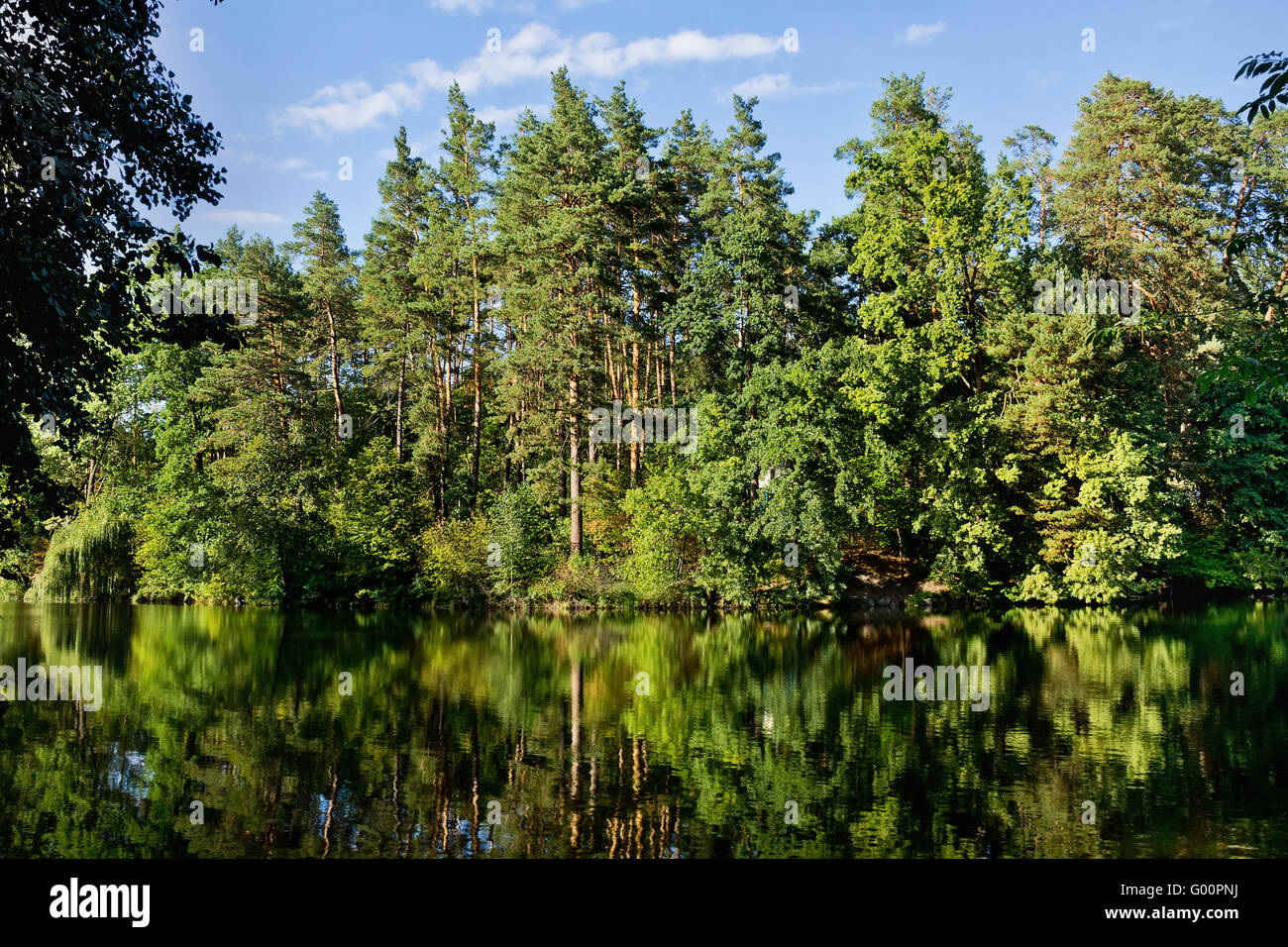 landscape green forest on the river bank Stock Photo - Alamy