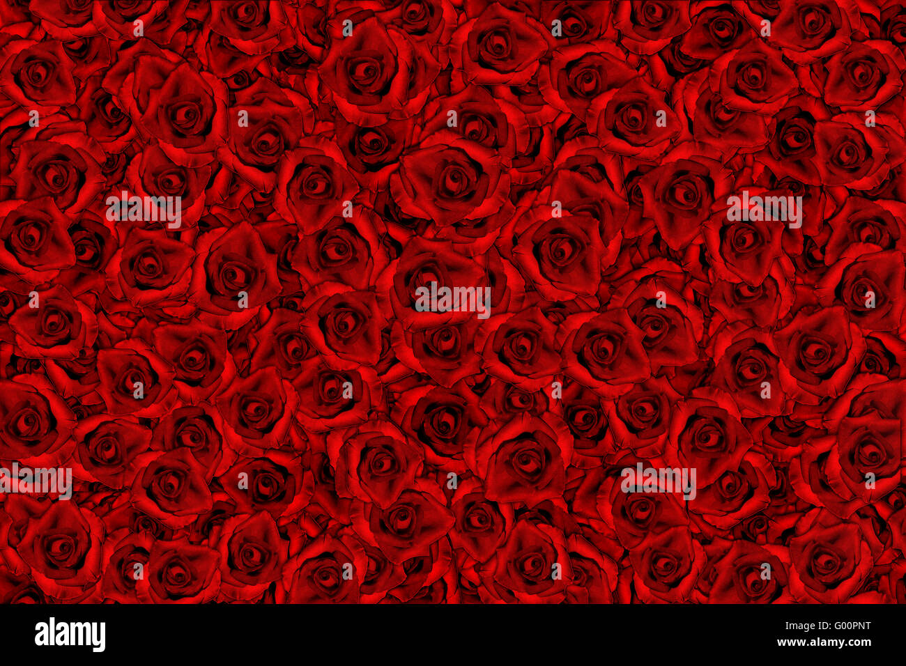 floral background of red roses closeup Stock Photo - Alamy