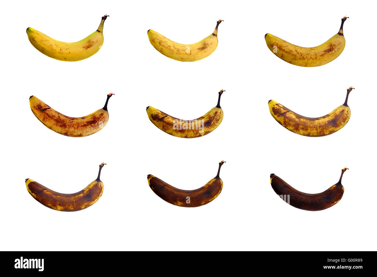 A grid of nine bananas of a different level of ripeness photographed ...