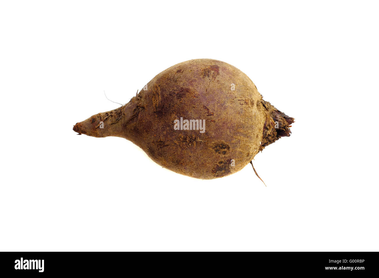 A beetroot photographed against a white background Stock Photo - Alamy