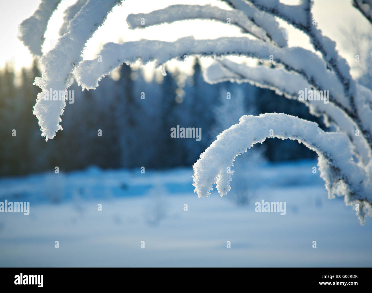 Deep winter landscape hi-res stock photography and images - Alamy