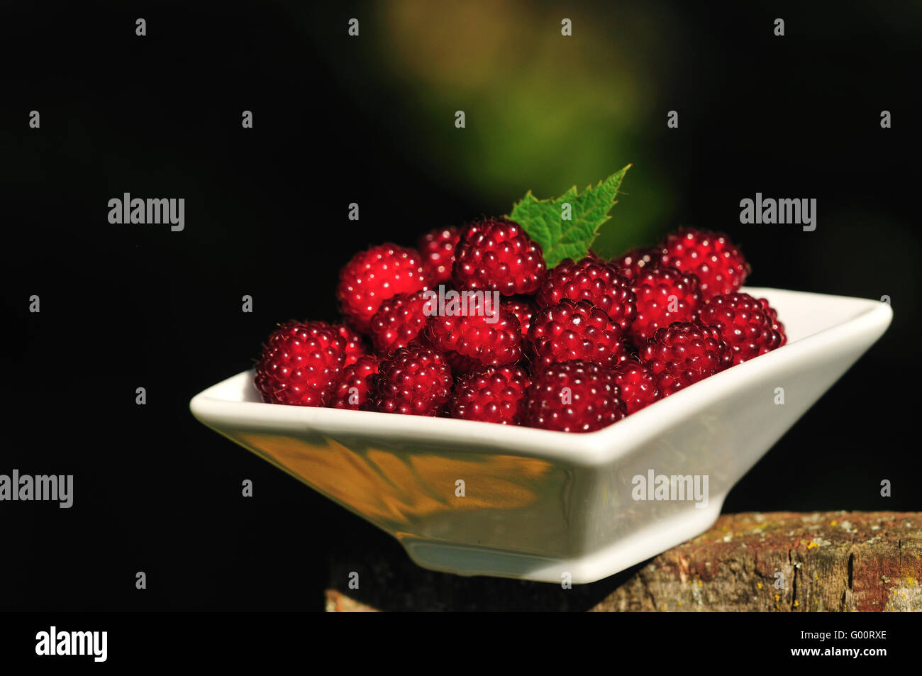 Japanese Wineberry Bush High Resolution Stock Photography and Images ...