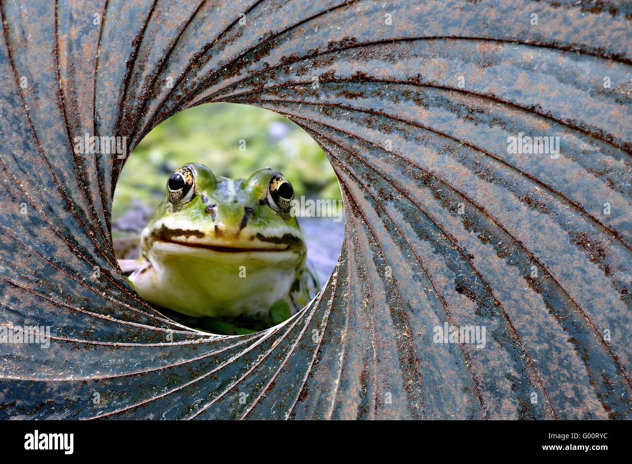 Gesicht wasser hi-res stock photography and images - Alamy