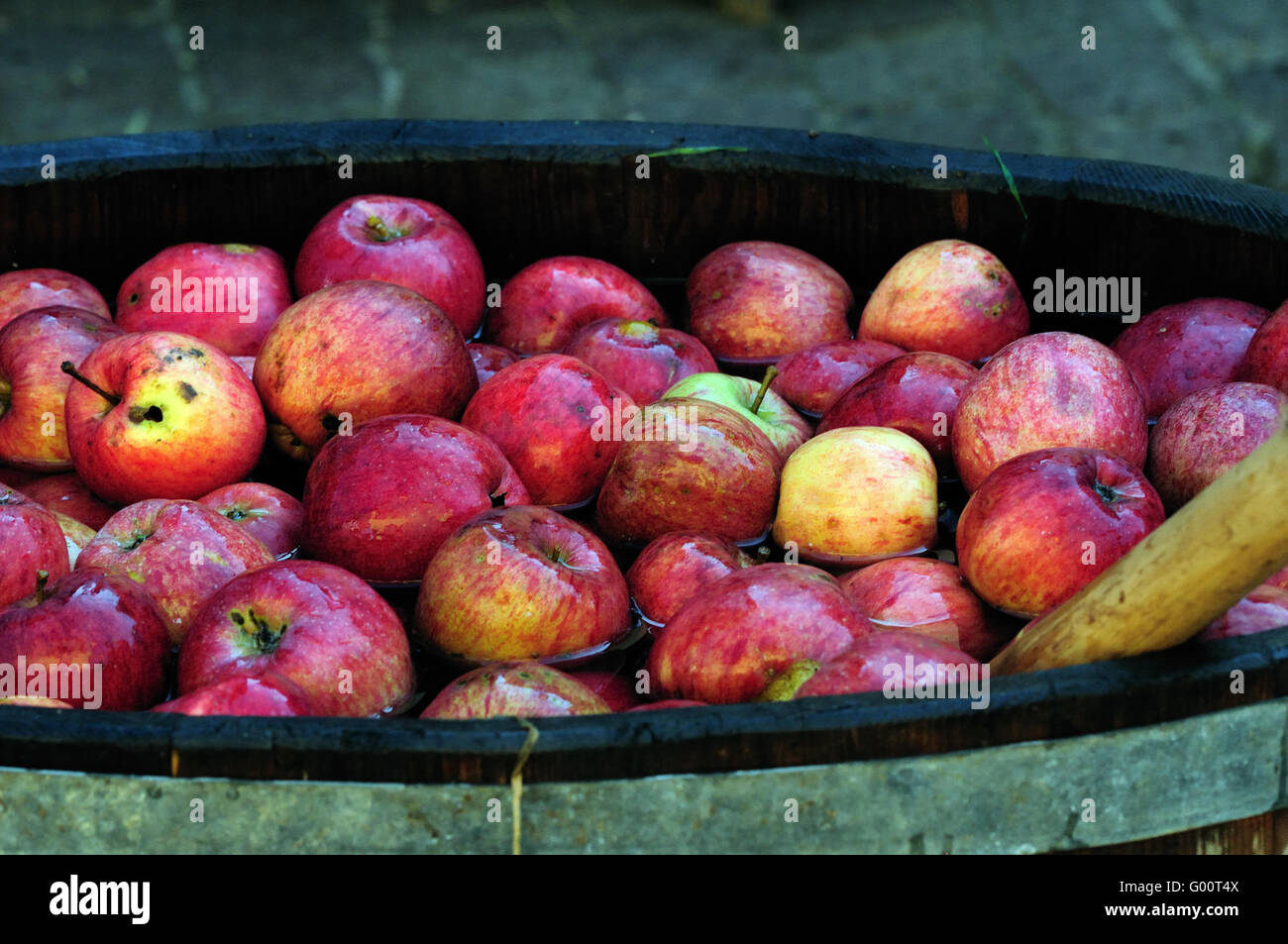 Scrumping apples hi-res stock photography and images - Alamy