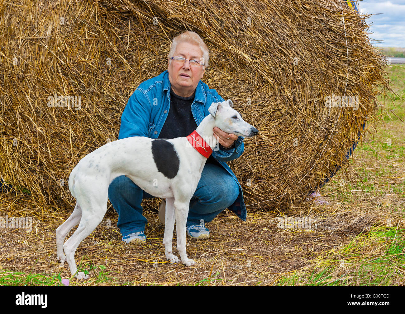 Whippet and her owner Stock Photo - Alamy