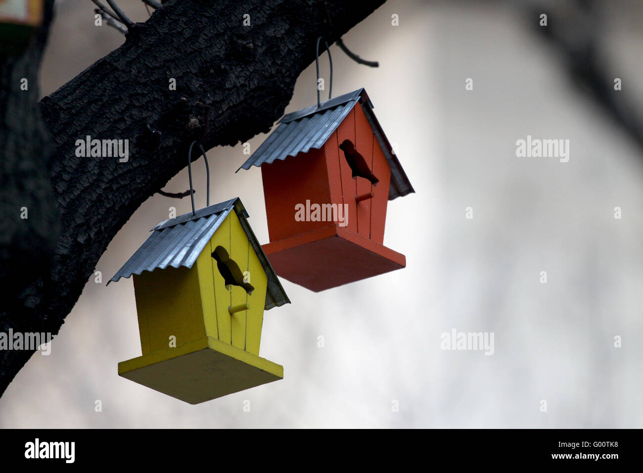 Whimsical birdhouse hi-res stock photography and images - Alamy
