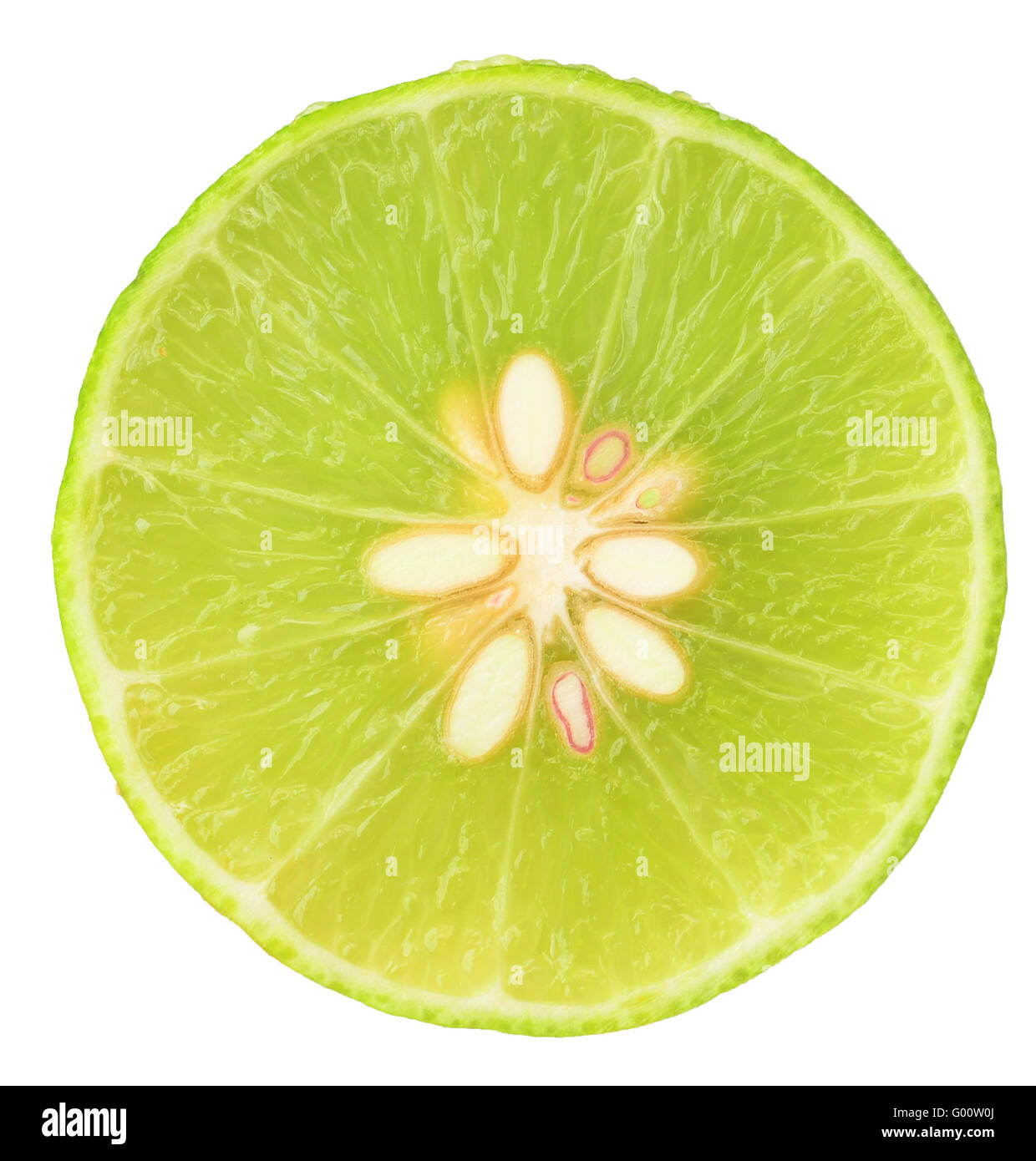 Lime Slice