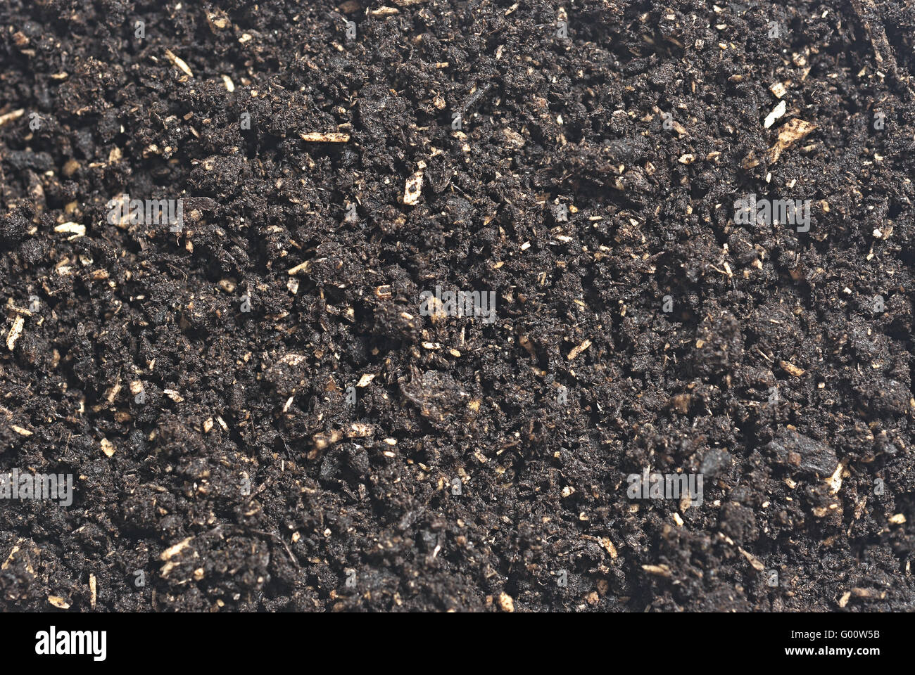Bad soil hi-res stock photography and images - Alamy