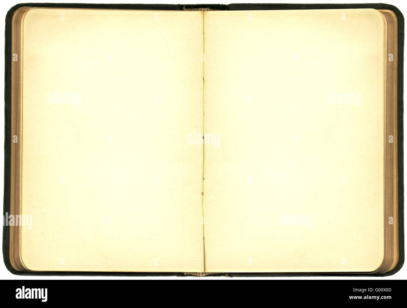 Journal Page Background