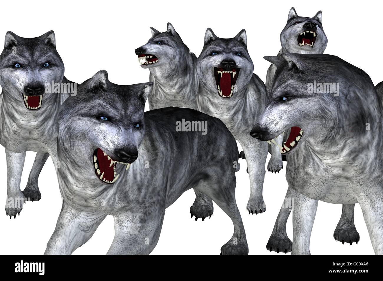 Vollmond wolf hi-res stock photography and images - Alamy