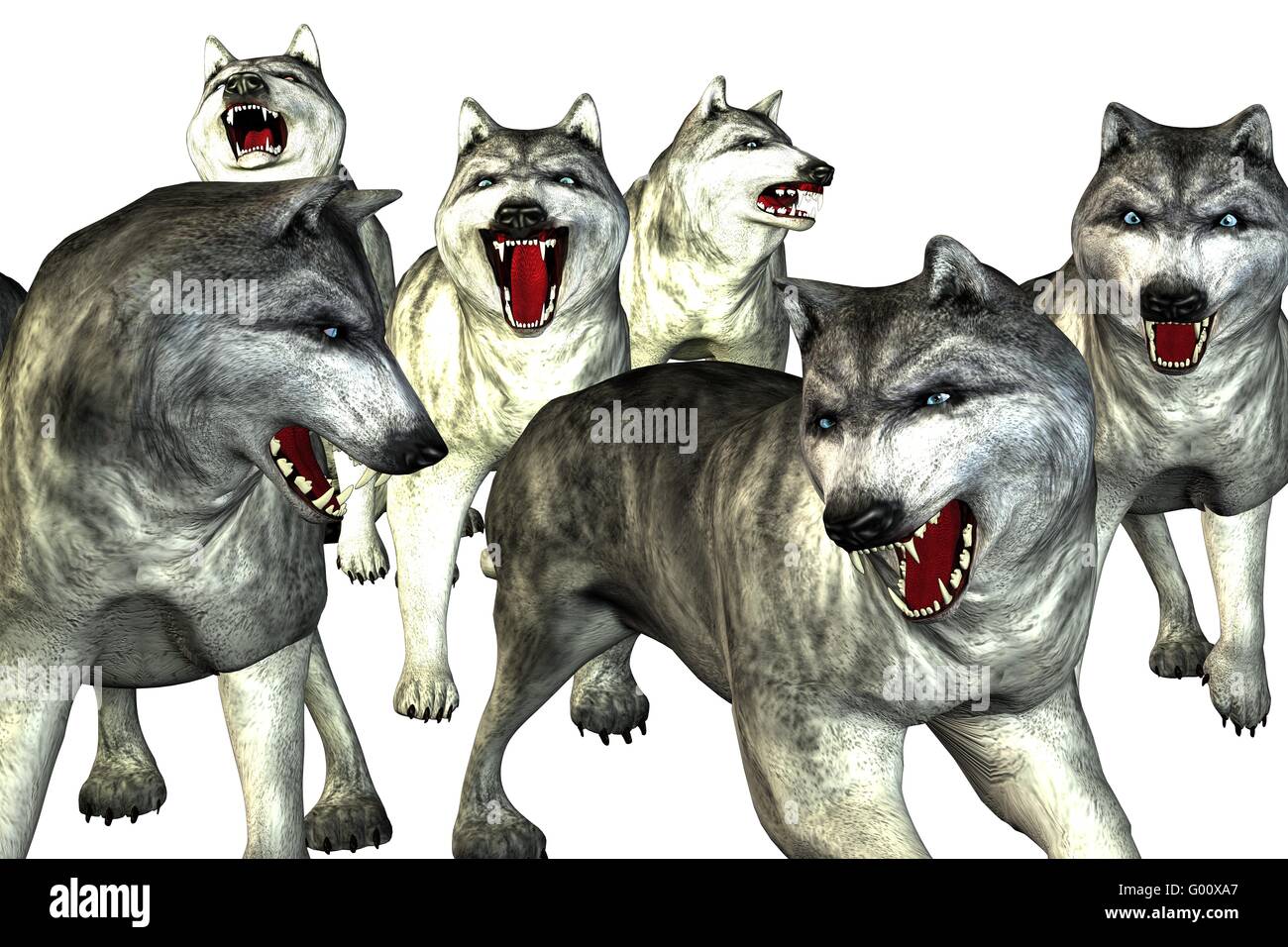 Wolves howling snow hi-res stock photography and images - Alamy