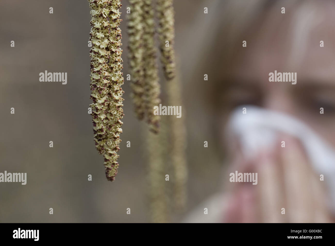Heuschnupfen | hay fever Stock Photo - Alamy