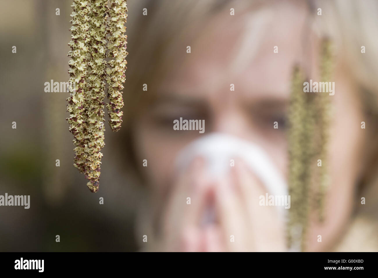 Heuschnupfen | hay fever Stock Photo - Alamy