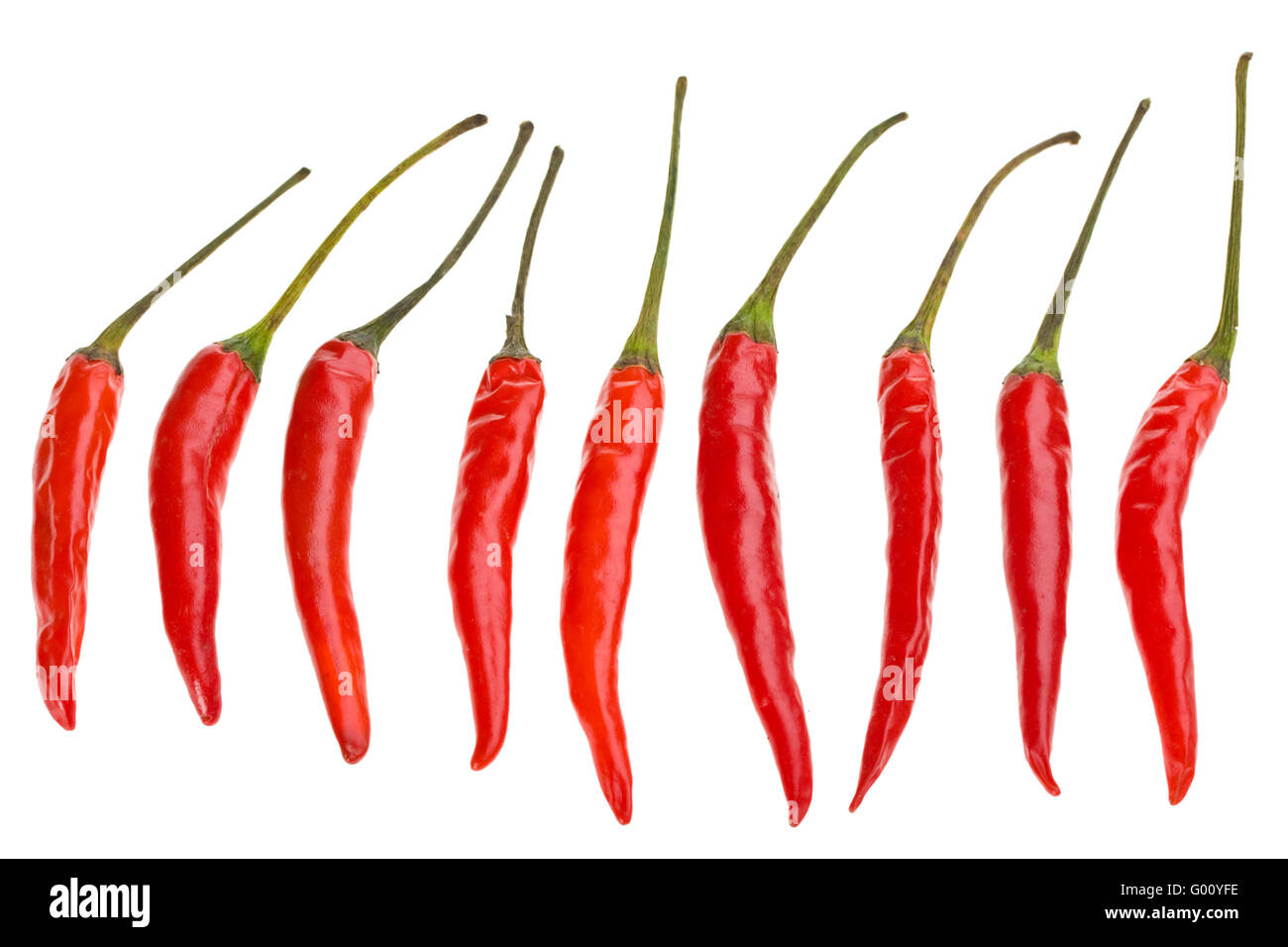 row of red hot chili beans on white background Stock Photo - Alamy