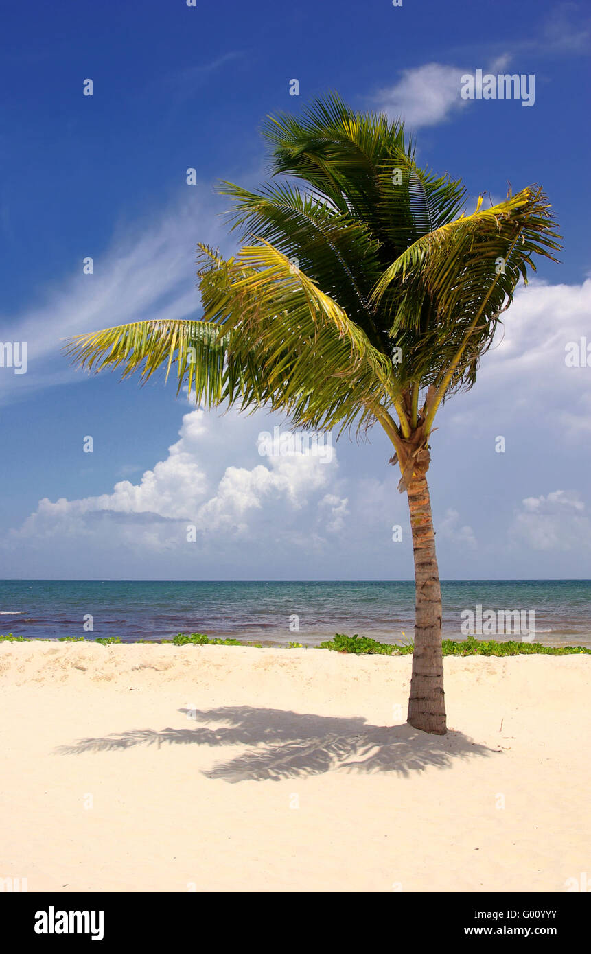 Mexican bay hi-res stock photography and images - Alamy