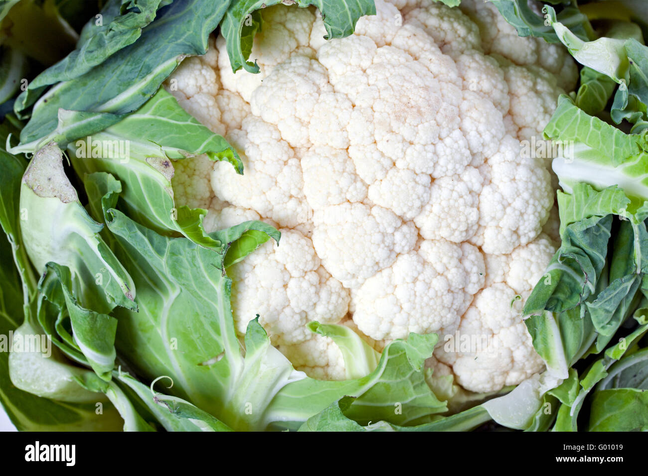 single cauliflower vegetable isolated on white Stock Photo - Alamy