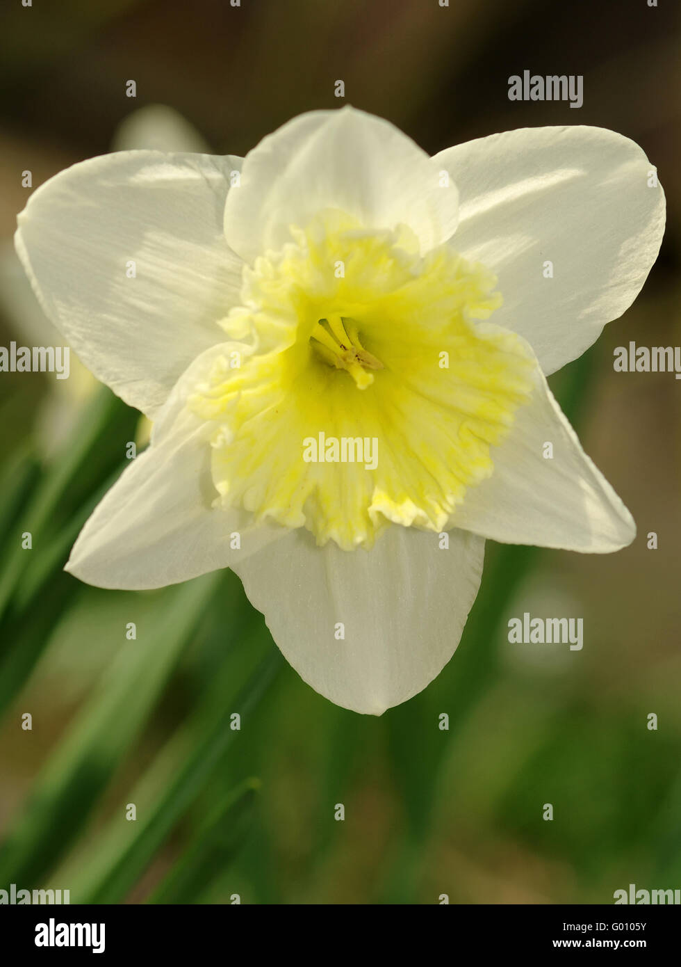 Season of lent hi-res stock photography and images - Alamy