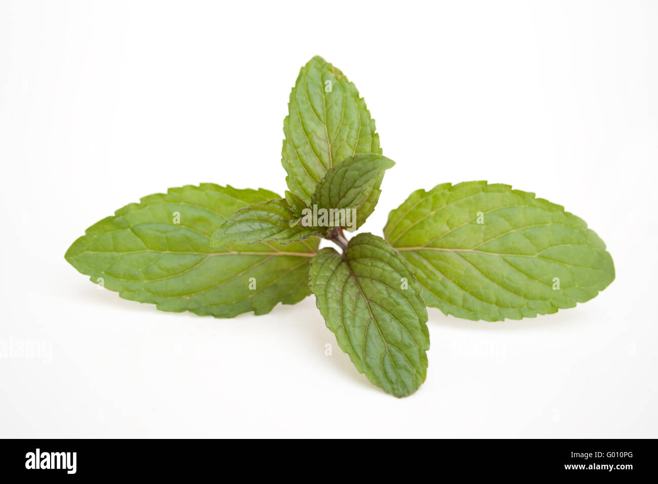 Mint hintergrund hi-res stock photography and images - Alamy