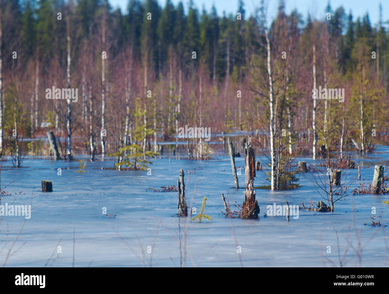 Snow melting in field hi-res stock photography and images - Alamy