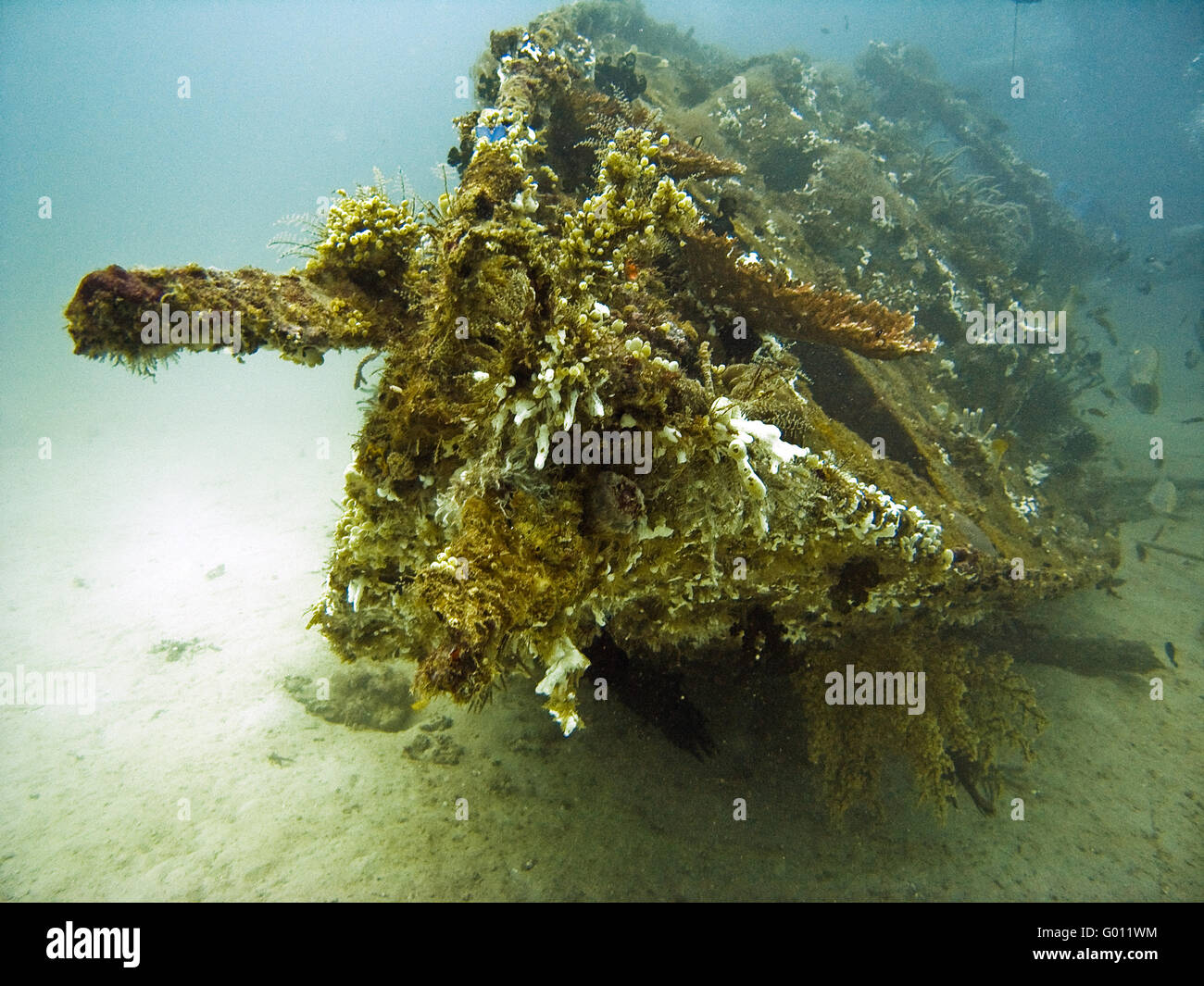 Wrack unter wasser hi-res stock photography and images - Alamy