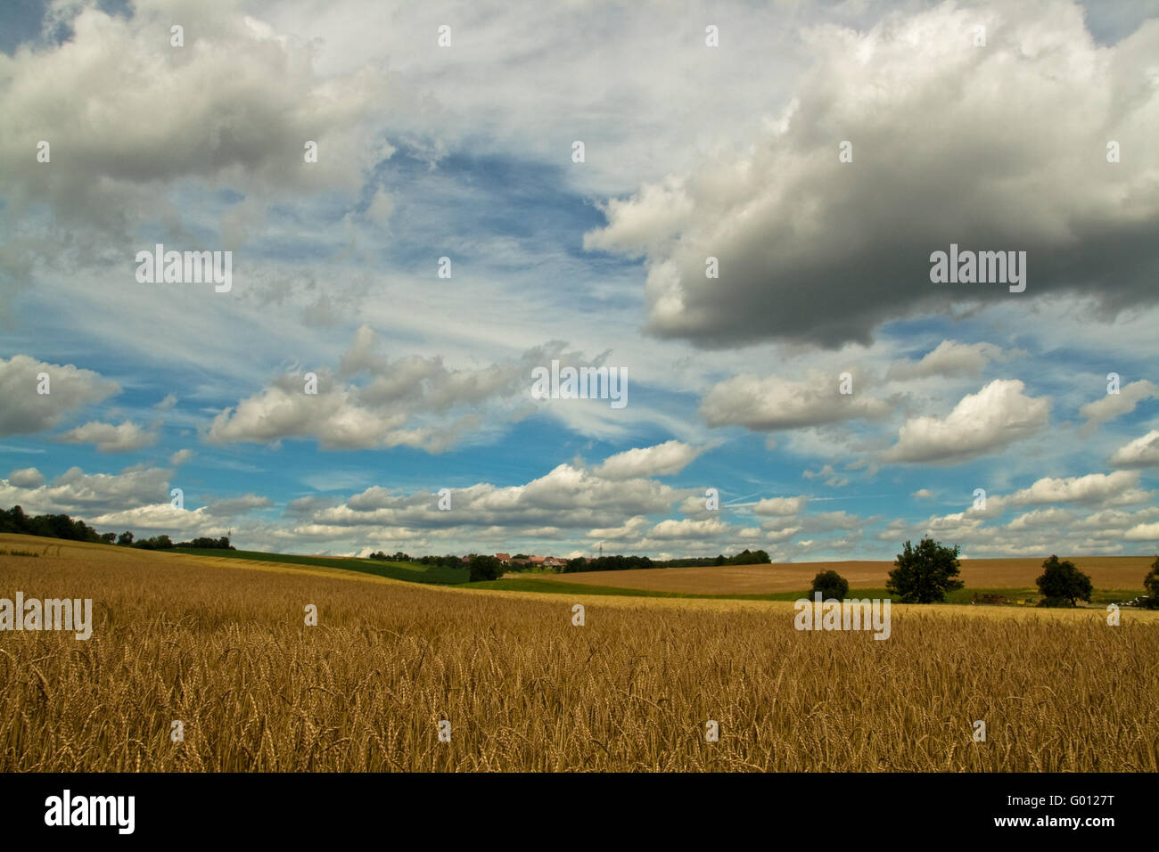 A summer scene of corn fields and cloudy heaven Stock Photo - Alamy