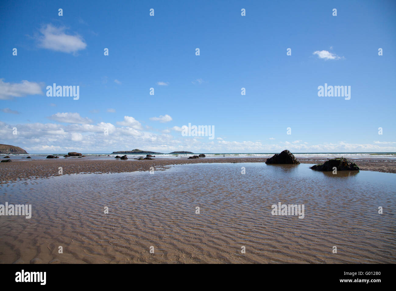 Gwylan fawr hi-res stock photography and images - Alamy