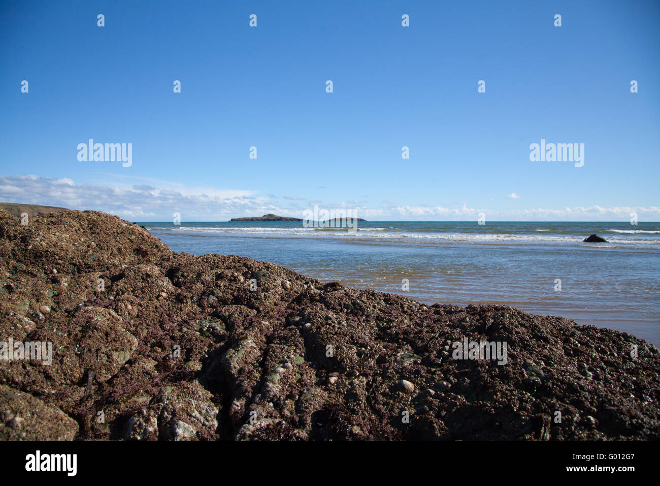 Gwylan fawr hi-res stock photography and images - Alamy