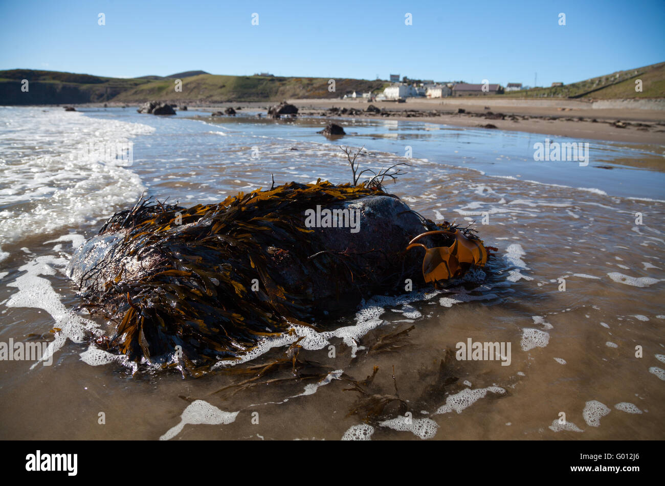 The view towards Aberdaron village (showing pub & church) taken from ...