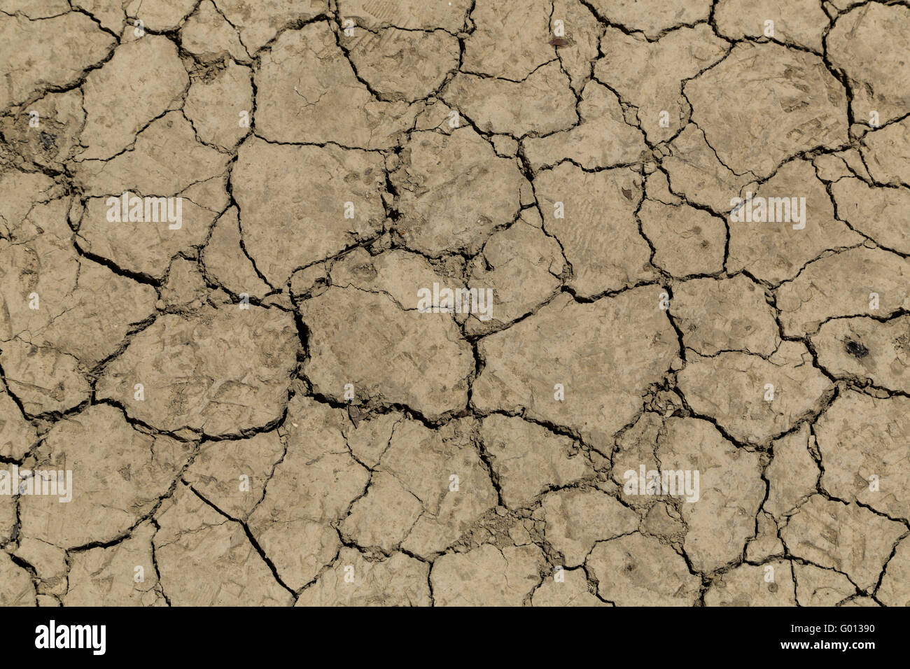 Dry land texture Stock Photo - Alamy