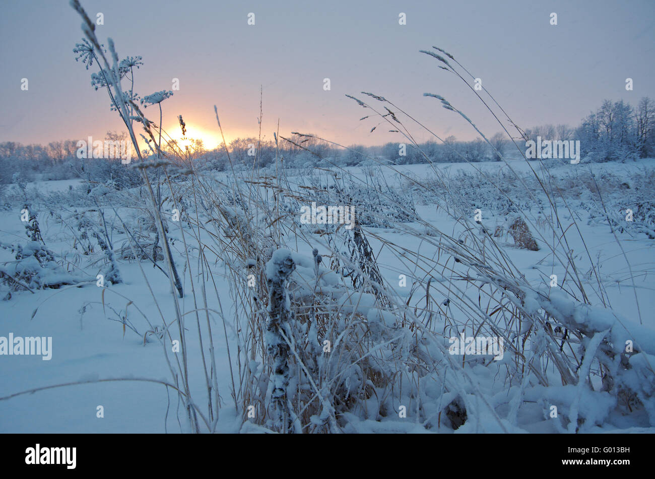 snowfall Winter landscape Stock Photo - Alamy