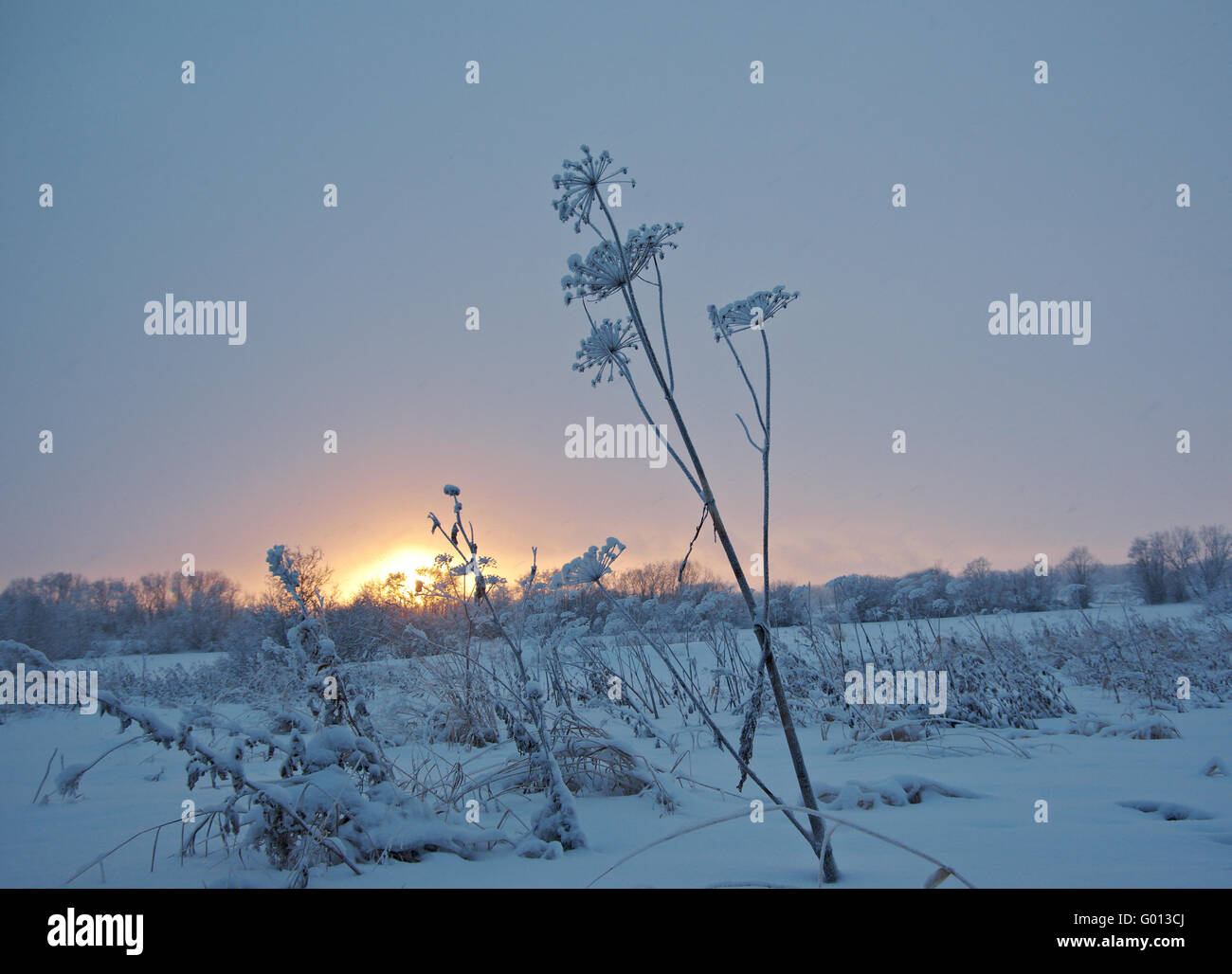 snowfall Winter landscape Stock Photo - Alamy