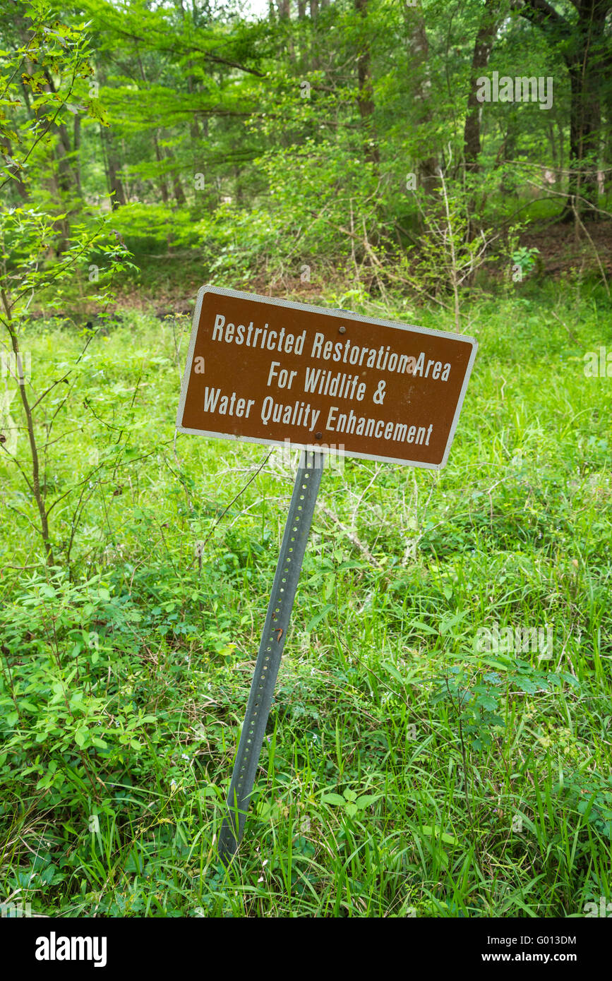 Poe Springs Park features a freshwater spring flowing out to the nearby ...