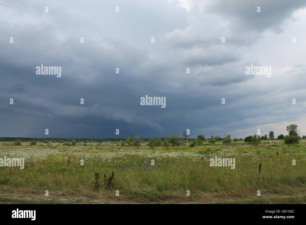 summer country landscape before a rain Stock Photo - Alamy