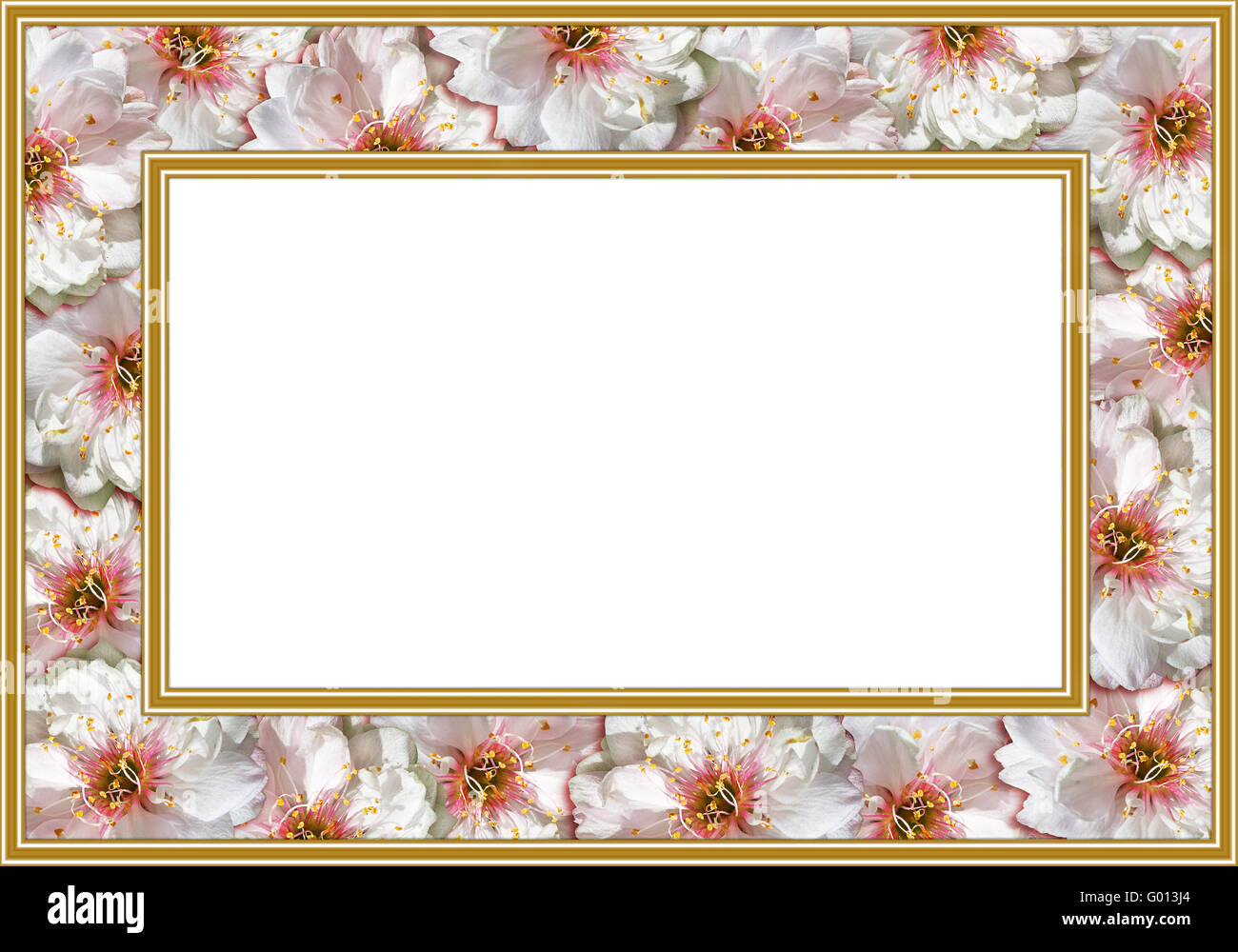 frame with white spring flowers closeup Stock Photo - Alamy