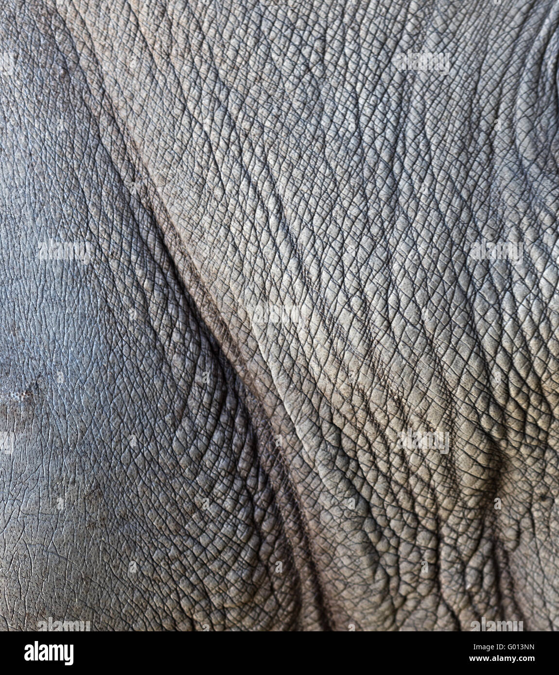 Rhino Skin Texture High Resolution Stock Photography and Images - Alamy