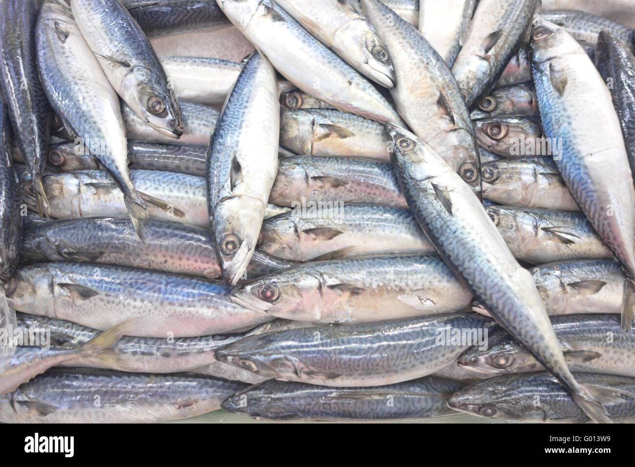 Mackerel pattern hi-res stock photography and images - Alamy