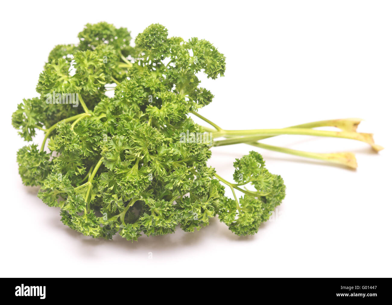 green fresh parsley Stock Photo - Alamy
