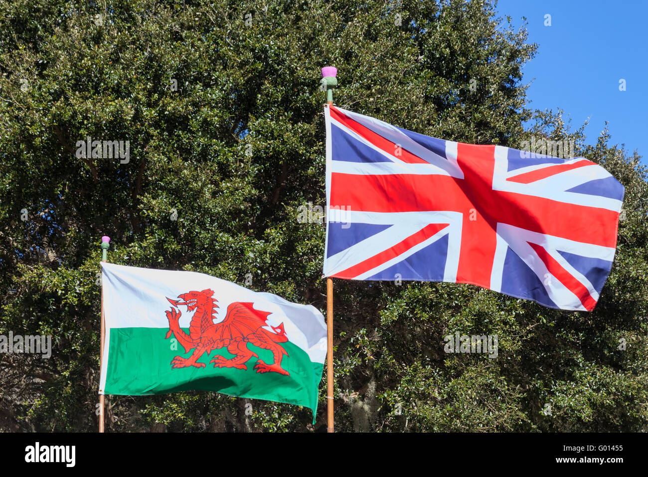 Welsh and scottish flag hi-res stock photography and images - Alamy