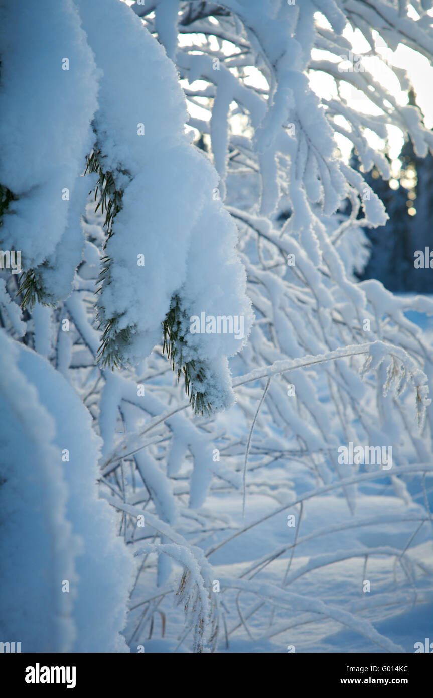 Deep winter landscape hi-res stock photography and images - Alamy