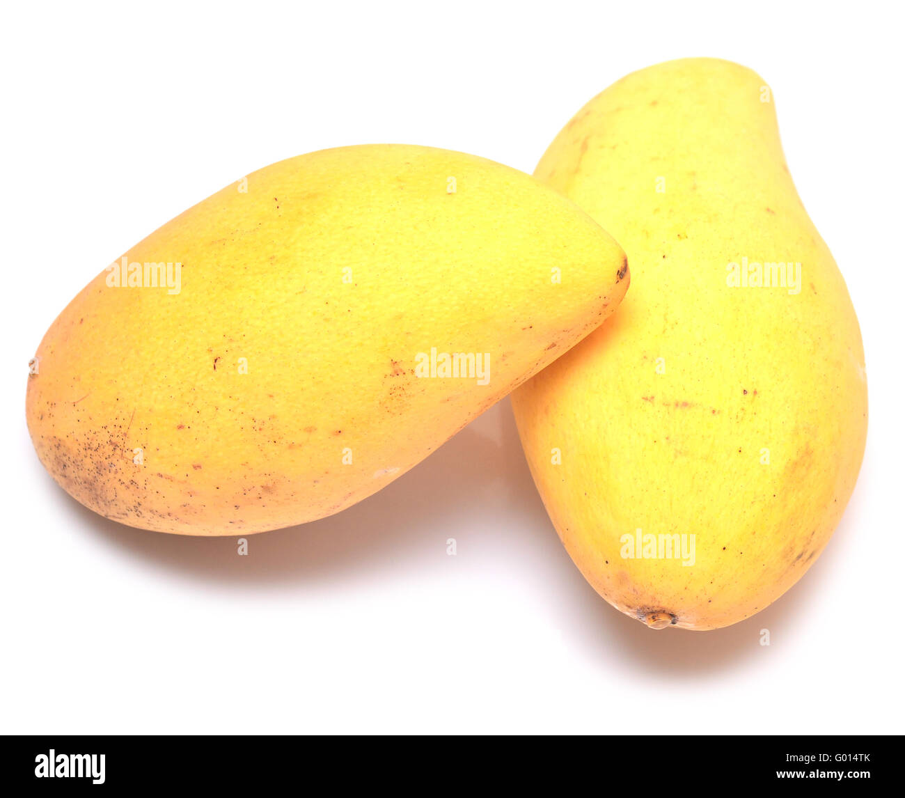 Image of mango leaf hi-res stock photography and images - Alamy