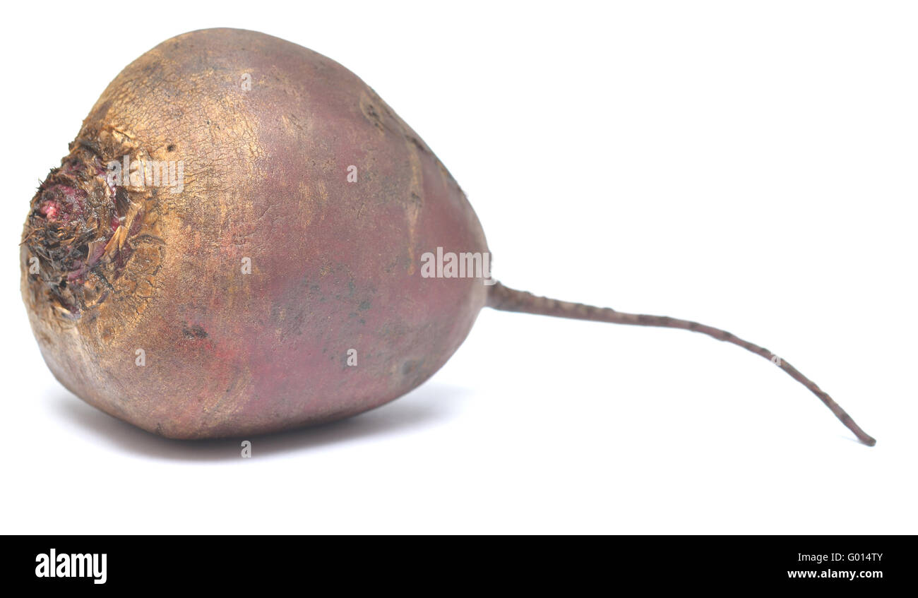 Beet harvest Cut Out Stock Images & Pictures - Alamy