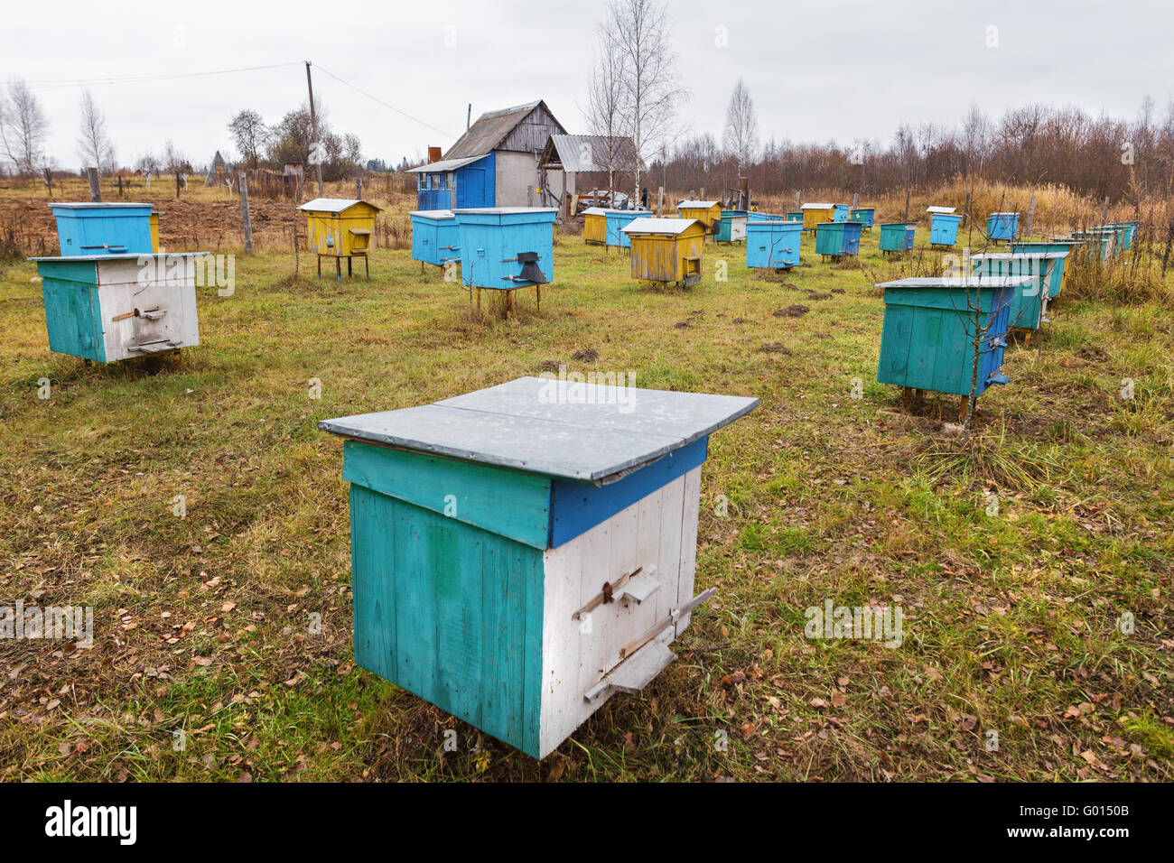 Commercial apiary europe hi-res stock photography and images - Alamy