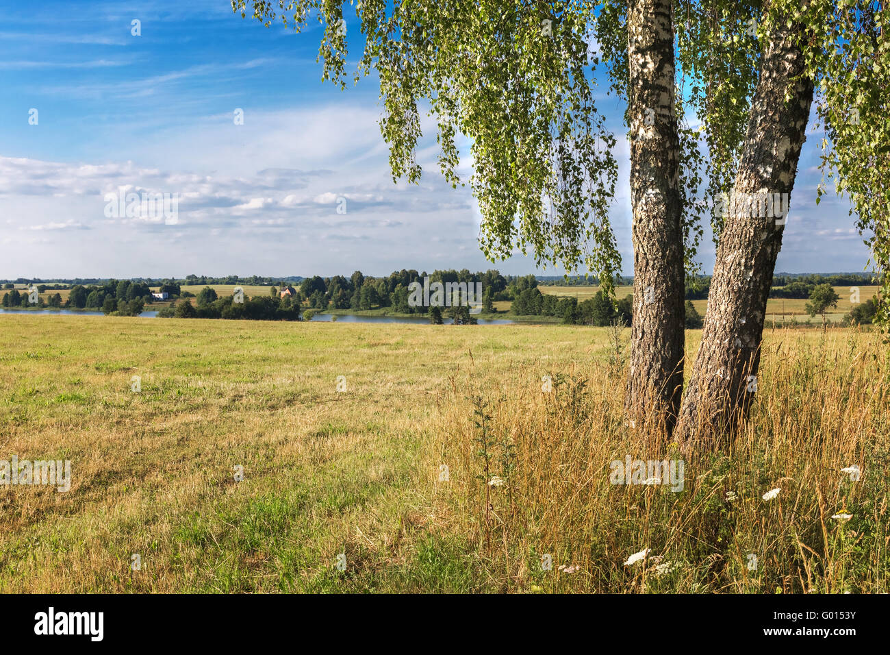 Sunny day in the countryside Stock Photo - Alamy