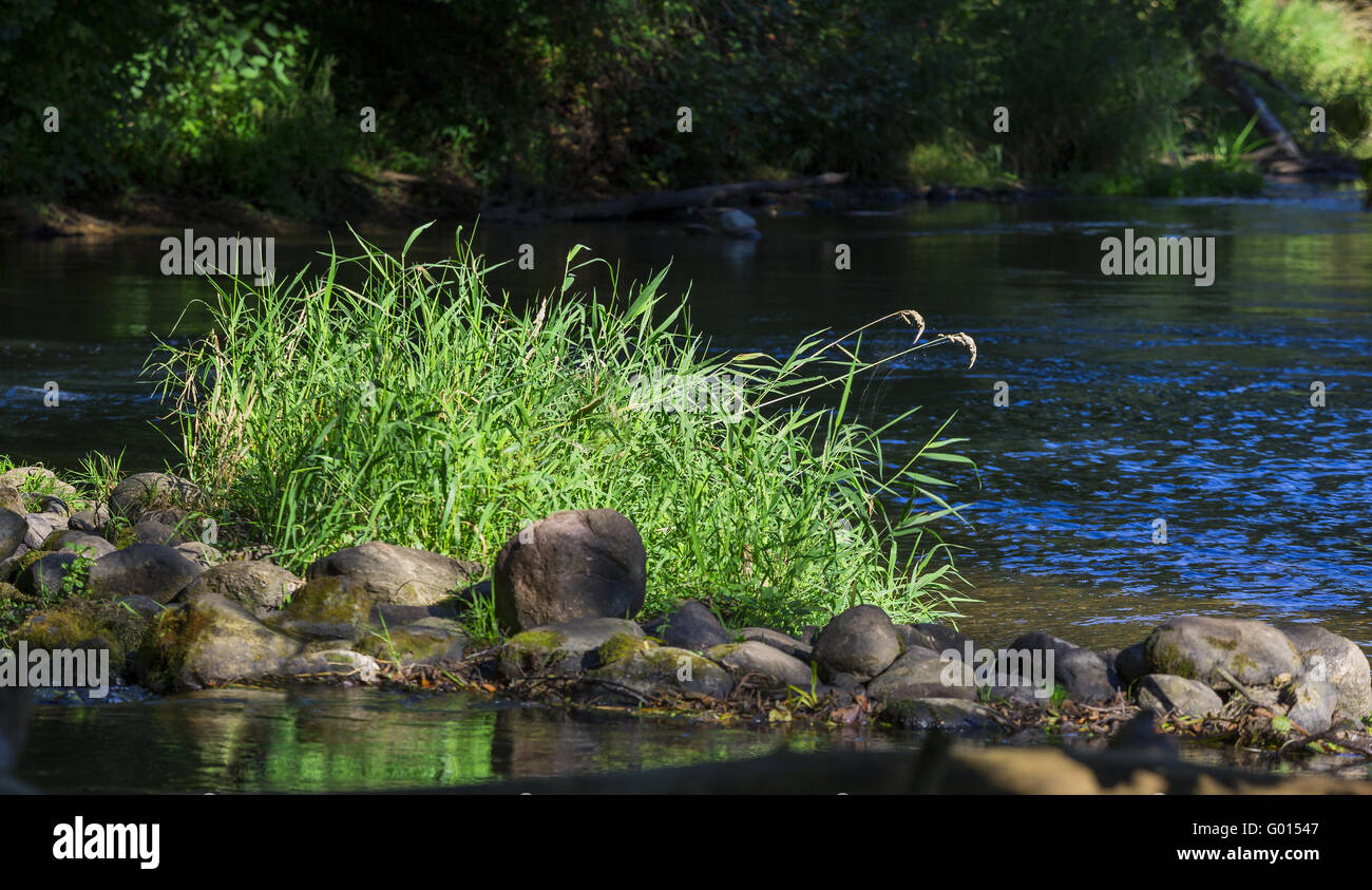 Plants on river hi-res stock photography and images - Alamy