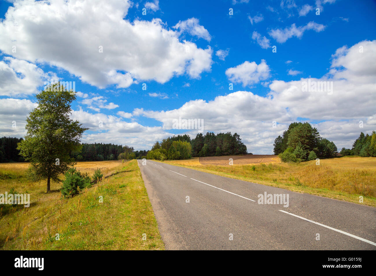 asphalted road. landscape with trees Stock Photo - Alamy