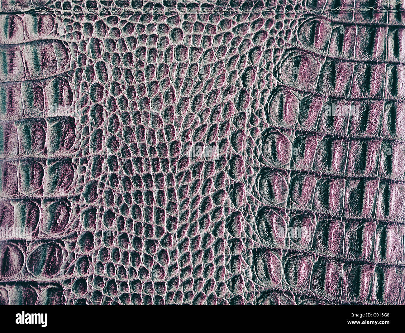texture, crocodile leather Stock Photo - Alamy