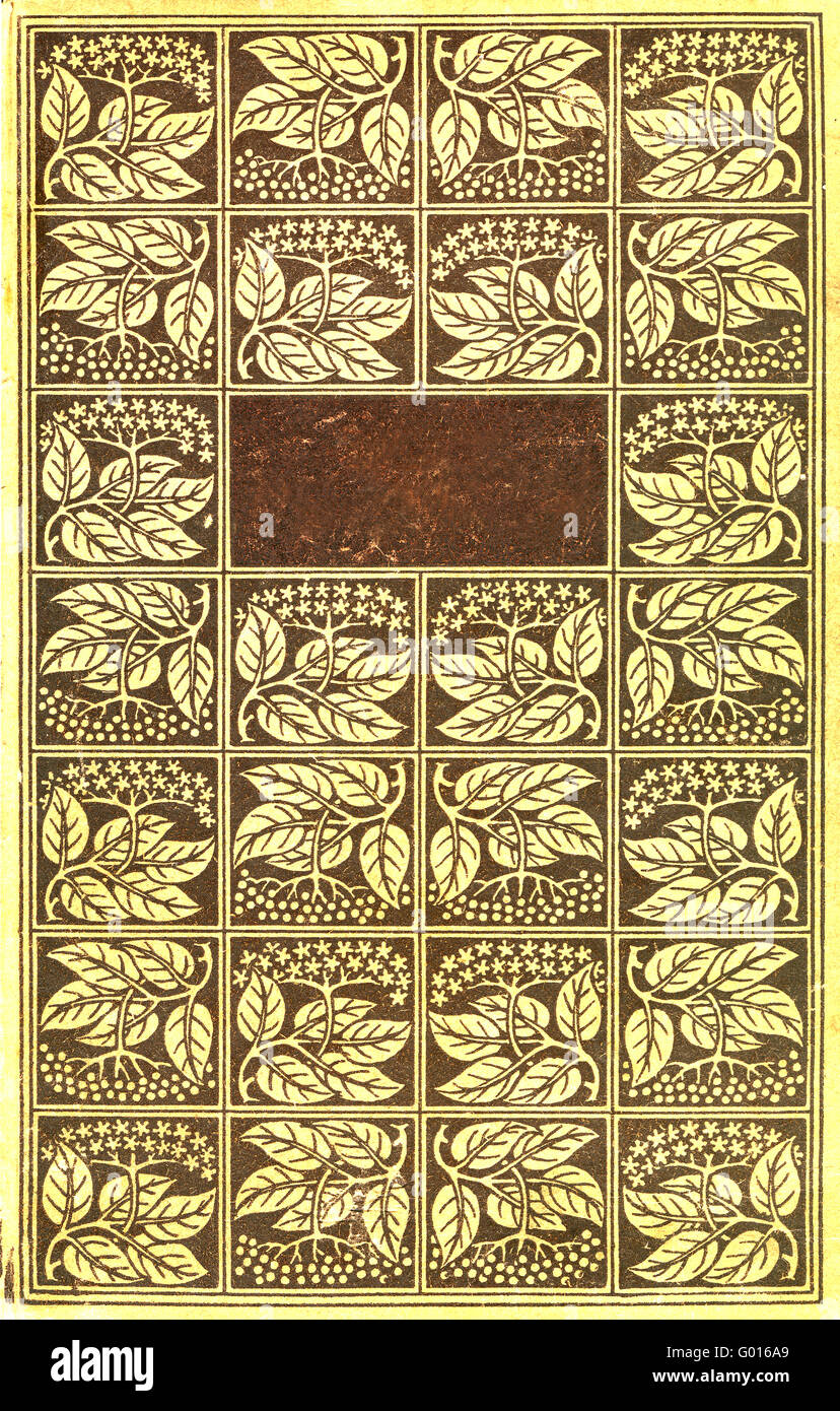 vintage book frame with Elder pattern Stock Photo - Alamy