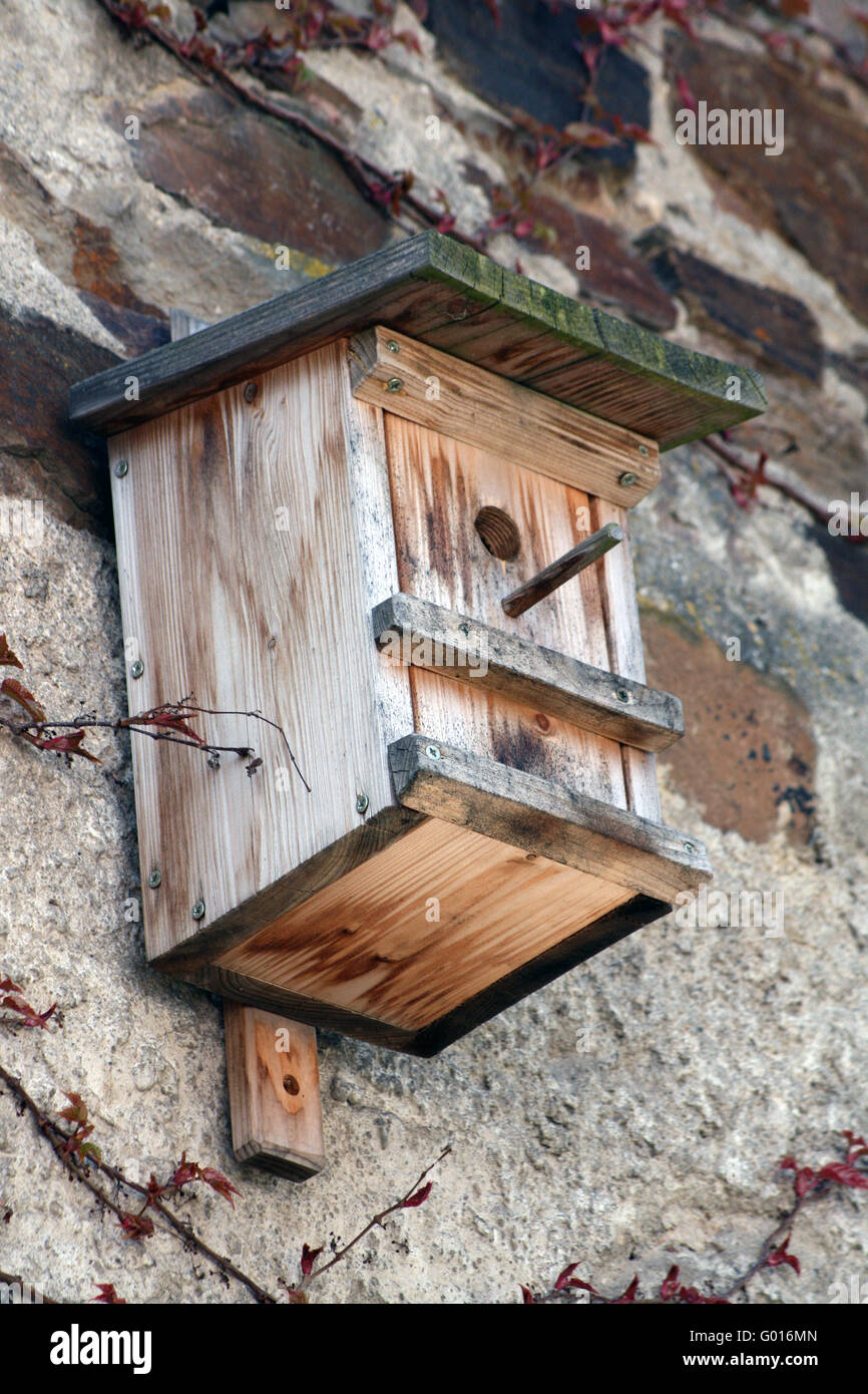 Titmouse Nest High Resolution Stock Photography and Images - Alamy