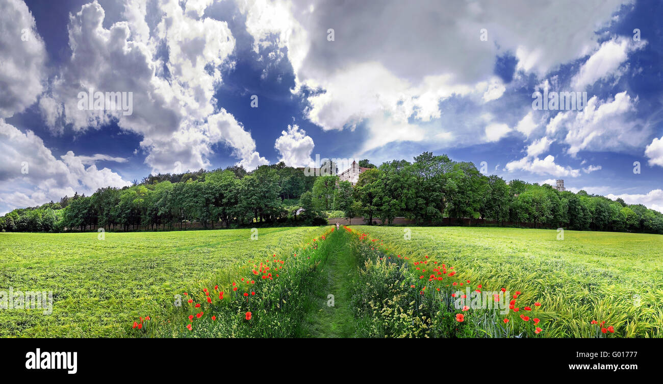 nature way 2 Stock Photo - Alamy