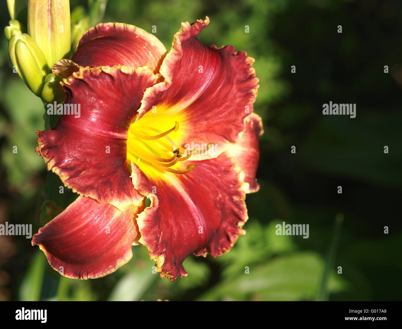 Startle hi-res stock photography and images - Alamy